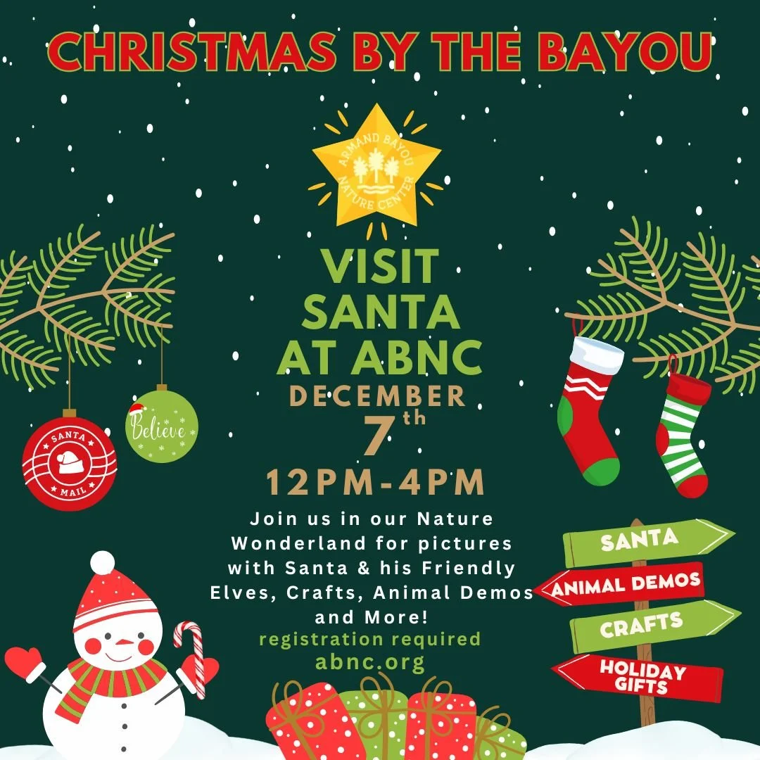 Christmas Bayou — ABNC