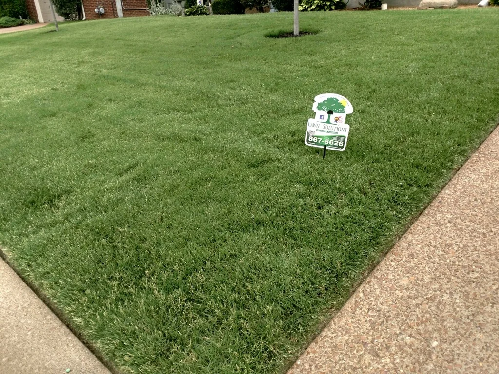 Lawn Solutions Inc.
