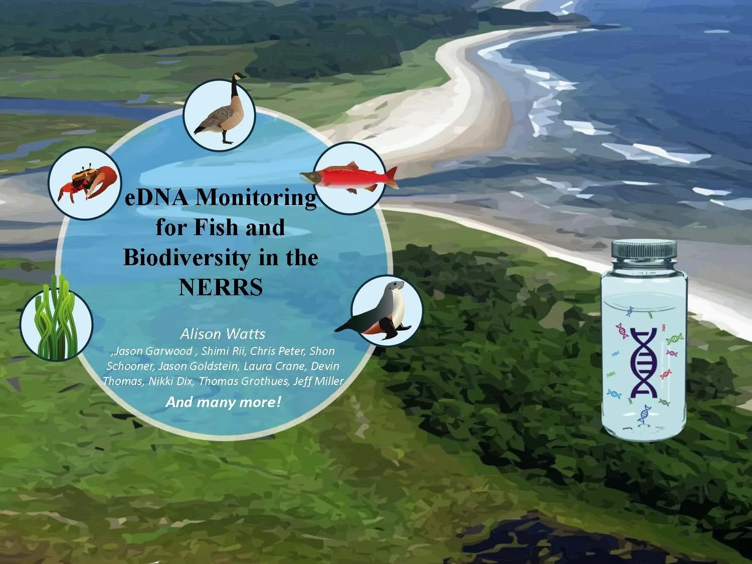 Resources — eDNA in Estuaries - NERRS