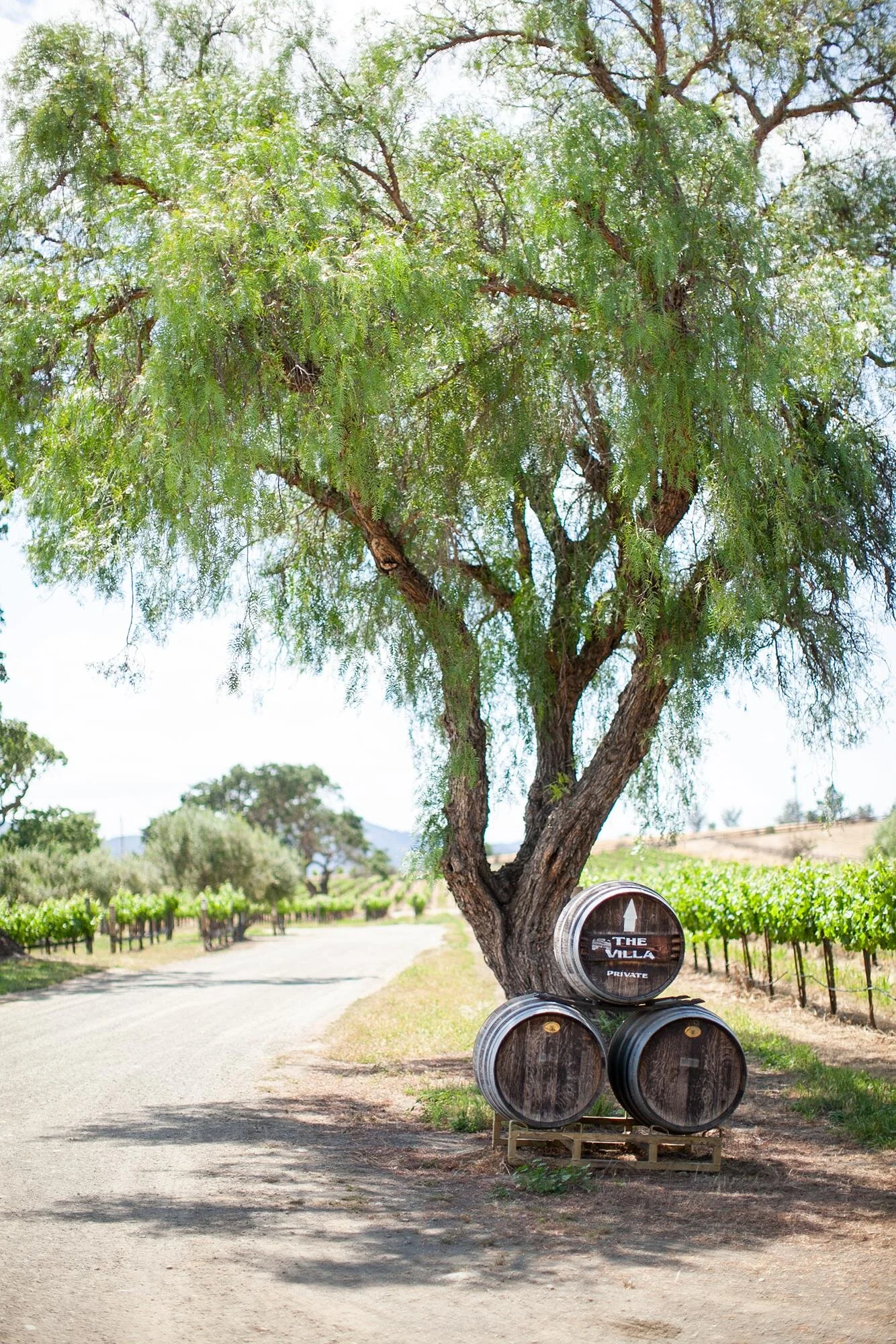 Sunstone Winery & Vineyard and Sunstone Villa Wedding Venue Review ...