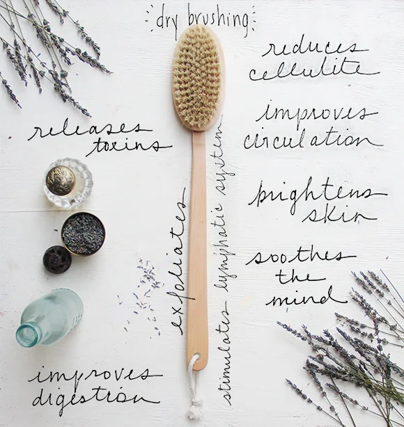 Cactus Brush Benefits