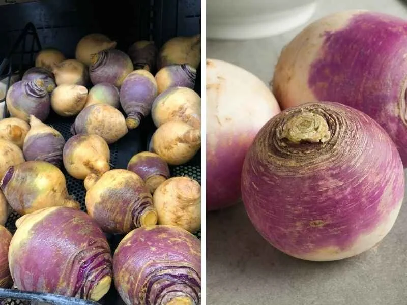 Difference Between Turnip And Rutabaga