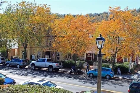 Where to See Fall Foliage in Southern California — Palos Verdes Pulse