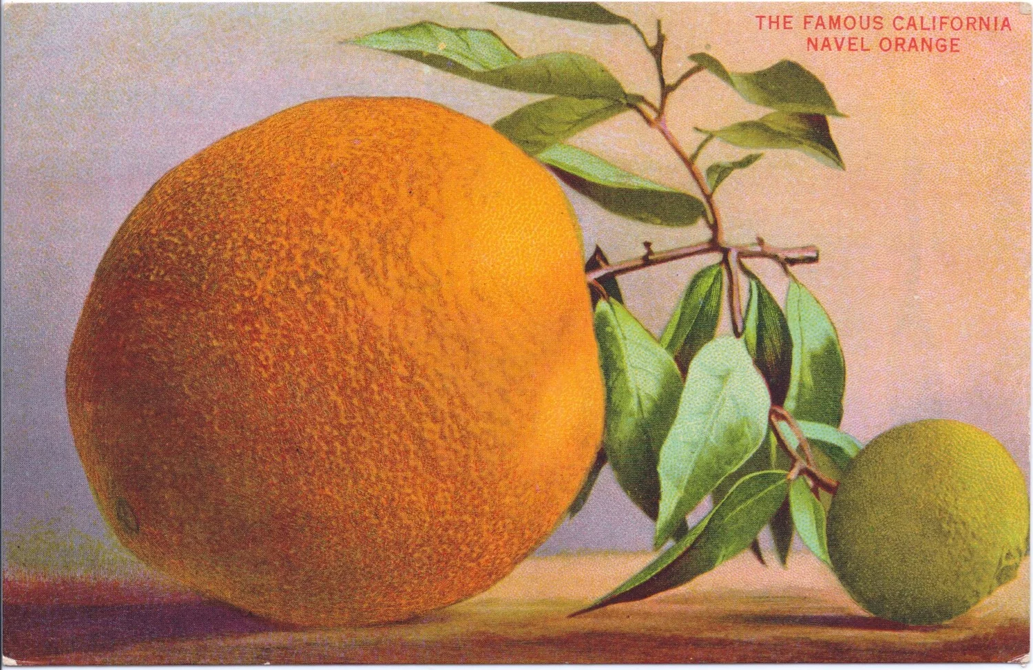THE BIG ORANGE – THE BIG BANG By David Boulé — Palos Verdes Pulse
