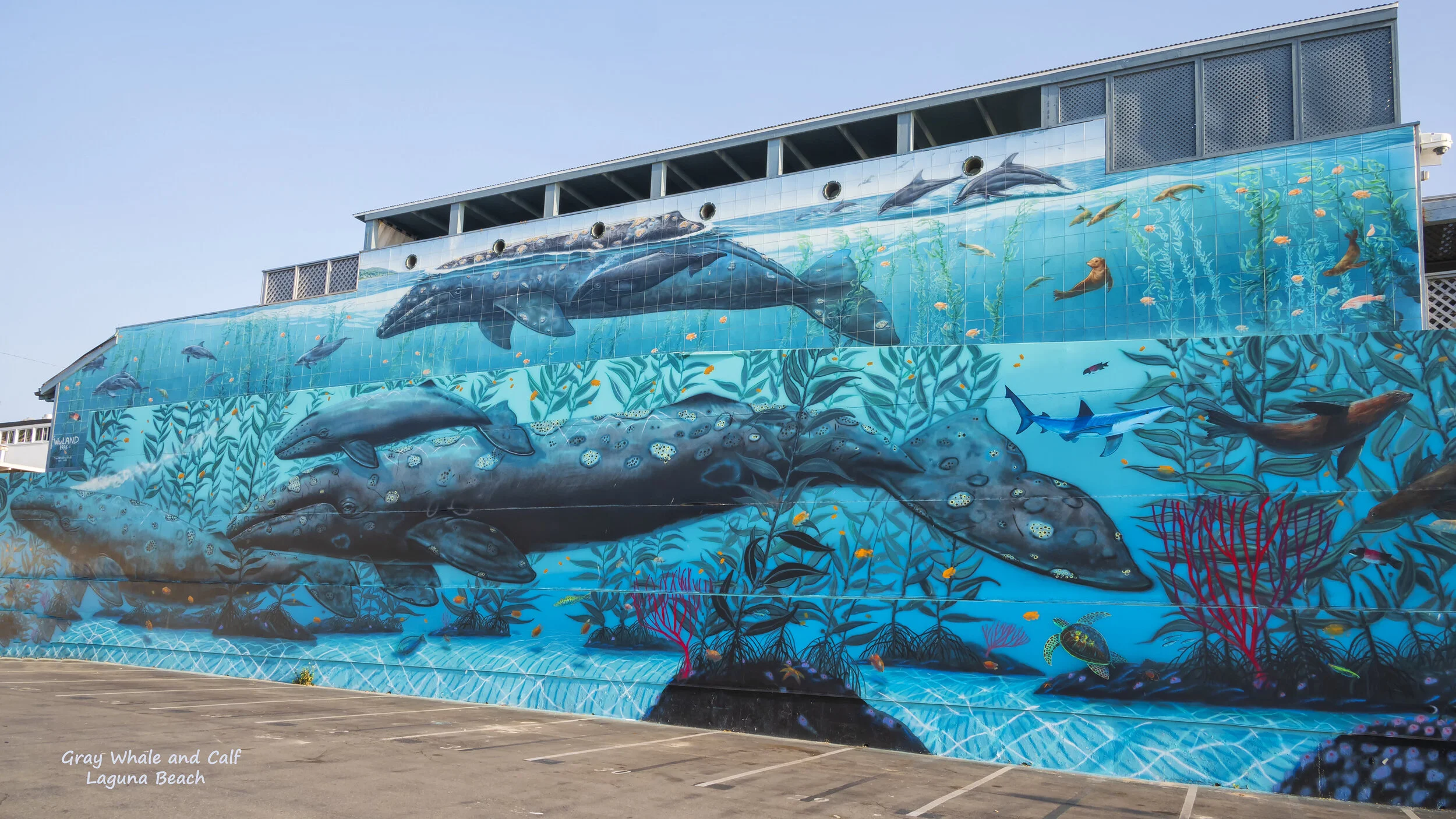 Wyland The Artist in the Right Place at the Right Time By Steve Tabor ...