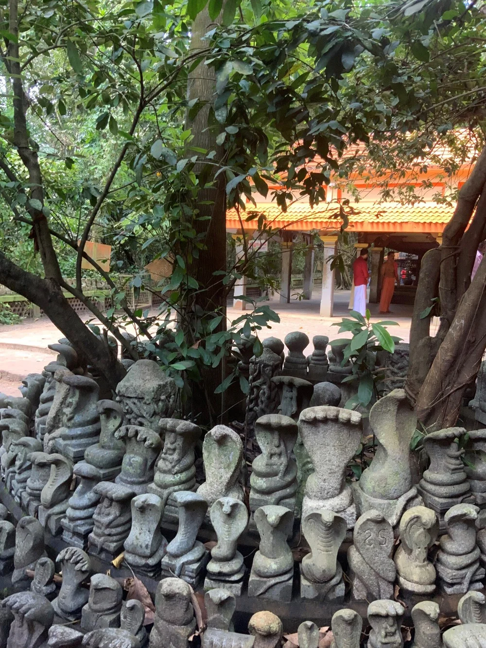 Mannarsala Temple - Snake Temple of Kerala By Debika Sen — Palos Verdes Pulse