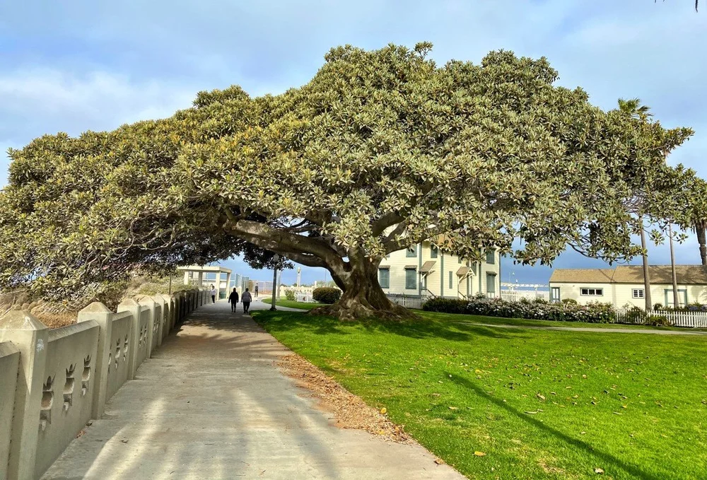 Point Fermin Historic Lighthouse: A Local LandmarkBy Dianne Gowder ...