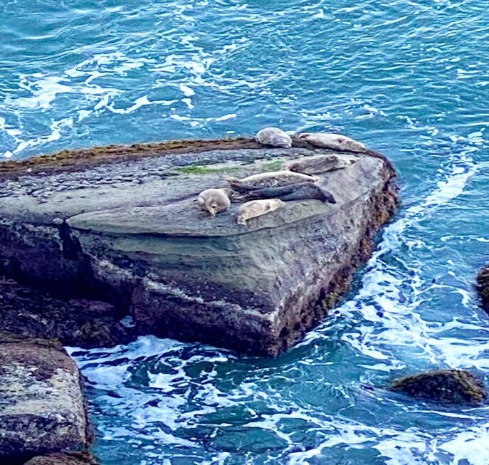 Point Fermin Historic Lighthouse: A Local LandmarkBy Dianne Gowder ...