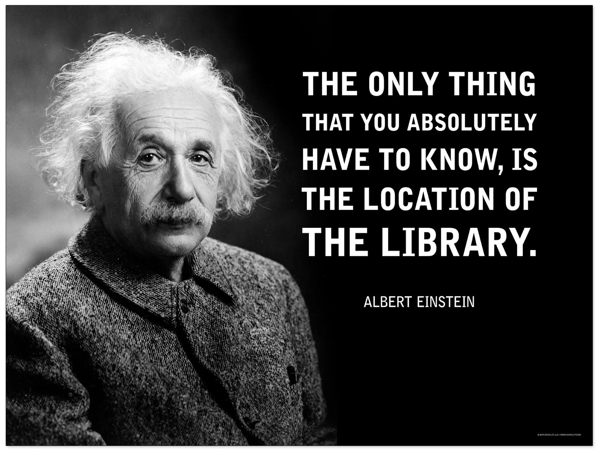 Fall 2021 News From the Peninsula Friends of the Library! By Colleen ...