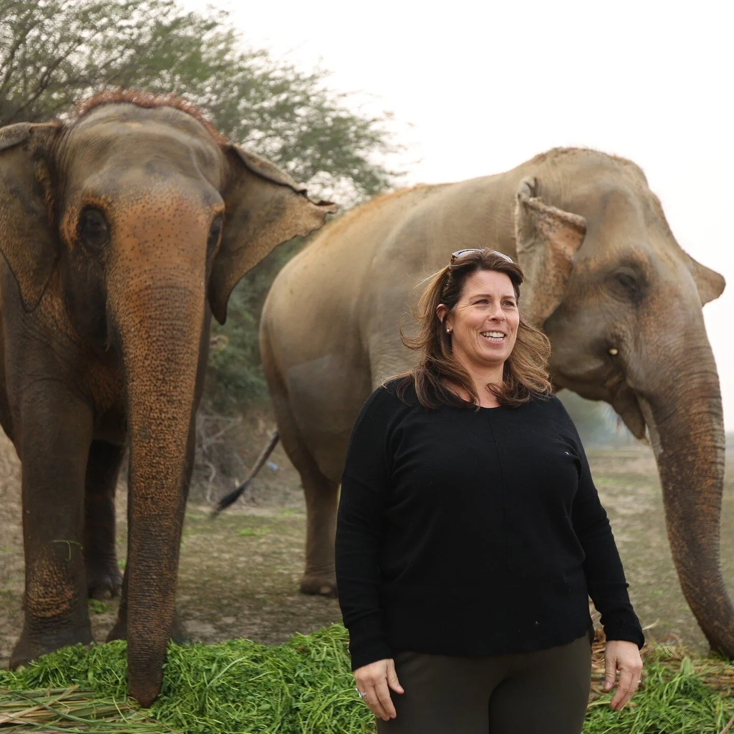 Lectures with Lianne Presents a FREE Lecture October 13, 2023 - The ...