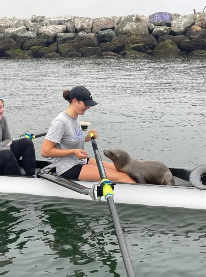 Meet Logan Hibbard The UCLA Rower Who Helped Save A Malnourished Sea ...