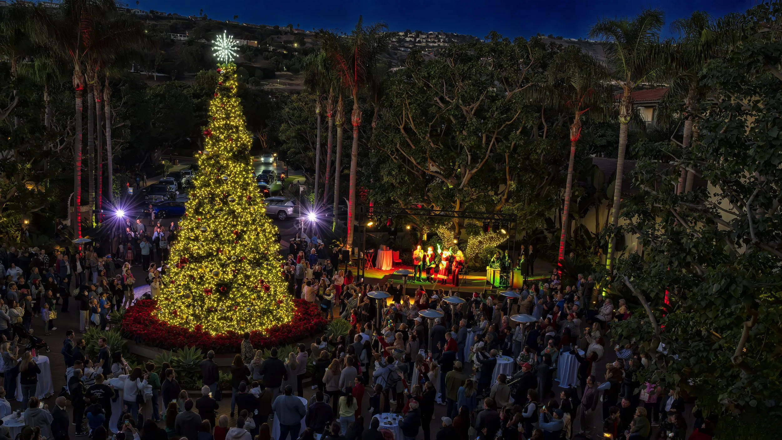 A California Winter Wonderland- Terranea Style By Photographer ...