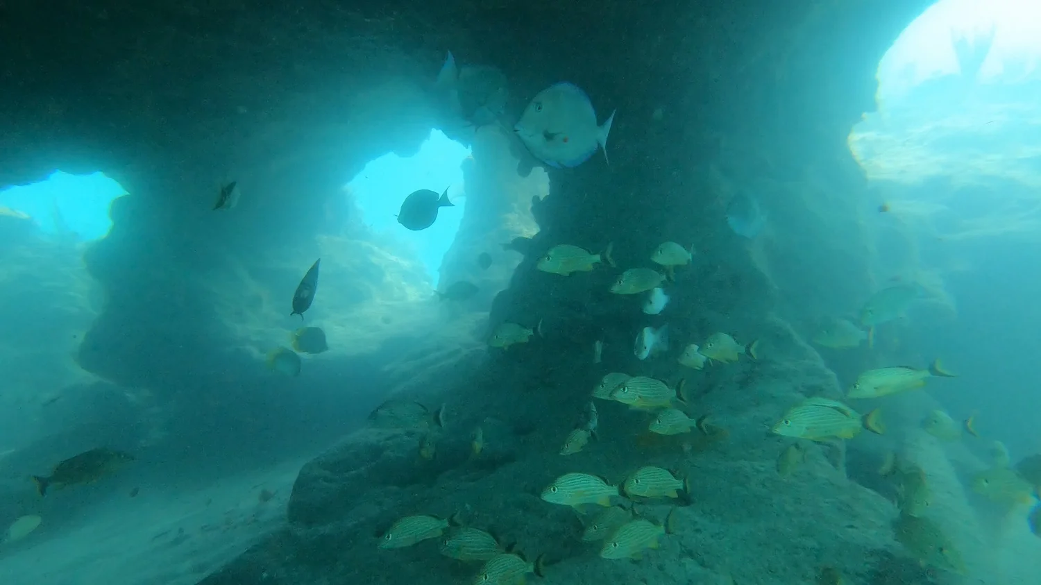 Isla Mujeres Diving Adventure By Local Adventurer Andre Navarro of ...
