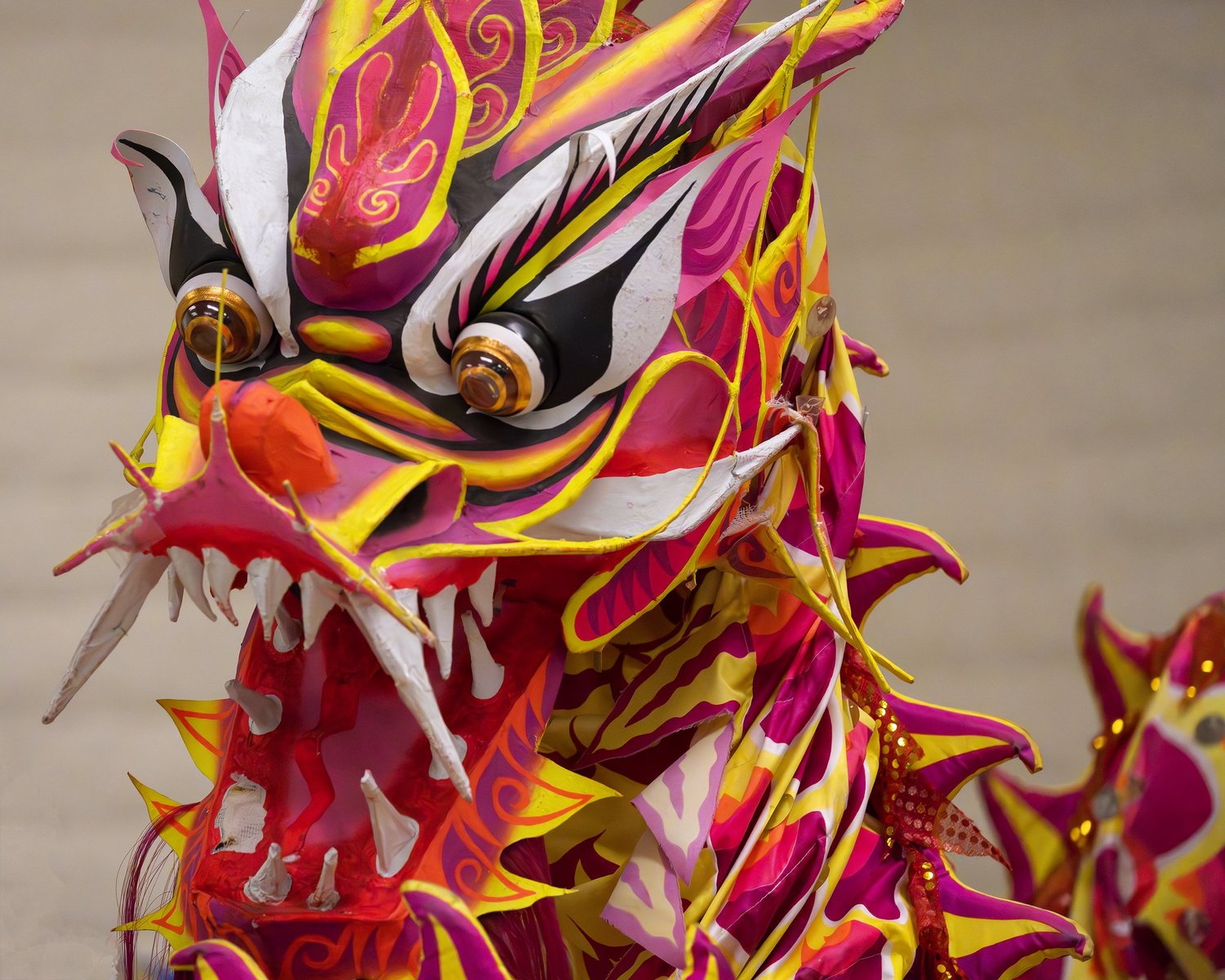 The South Coast Botanic Garden- Welcomes In the Year of the Dragon ...