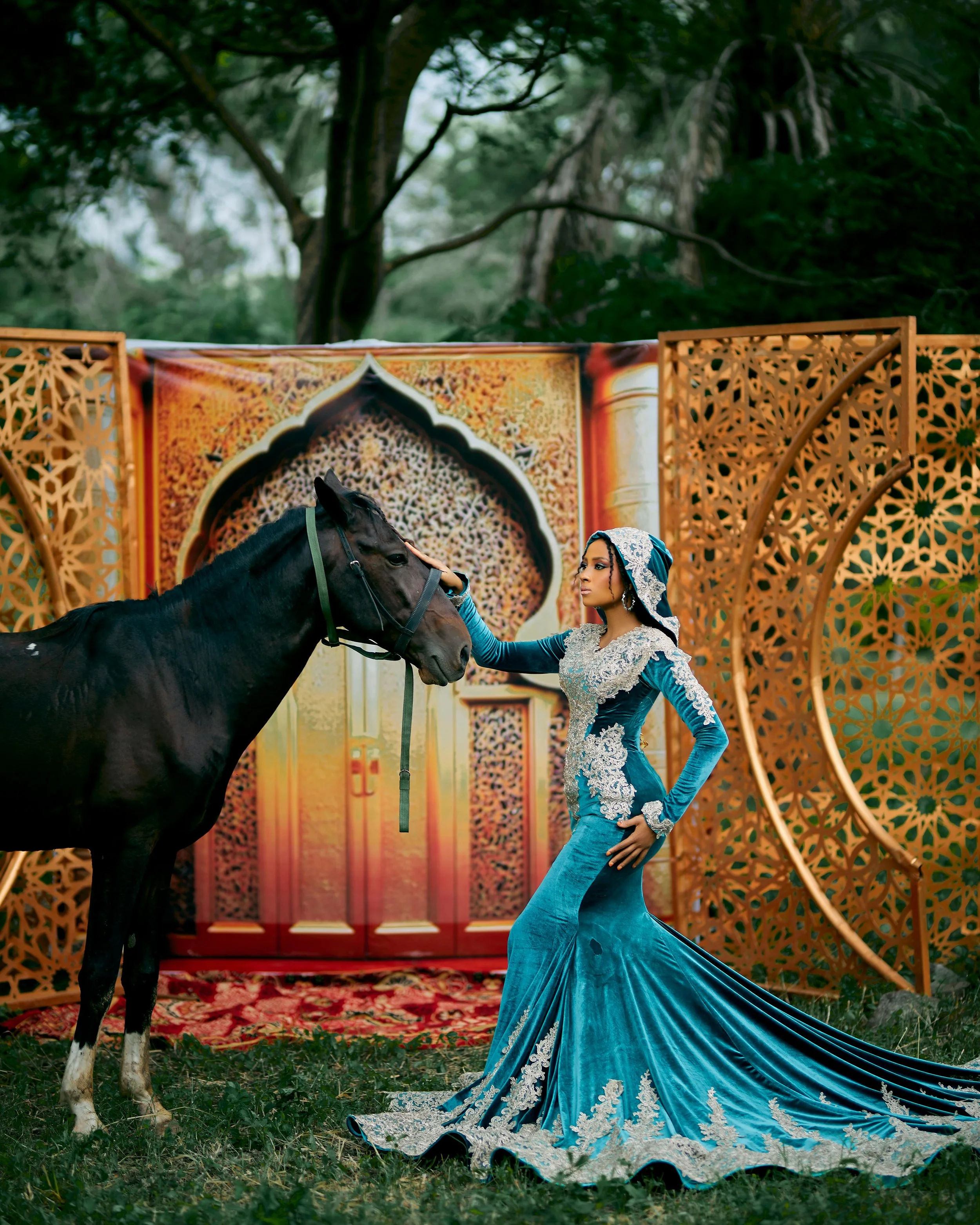 Arabian Horses: The Legendary Breed That Captivates Equestrians — Palos ...