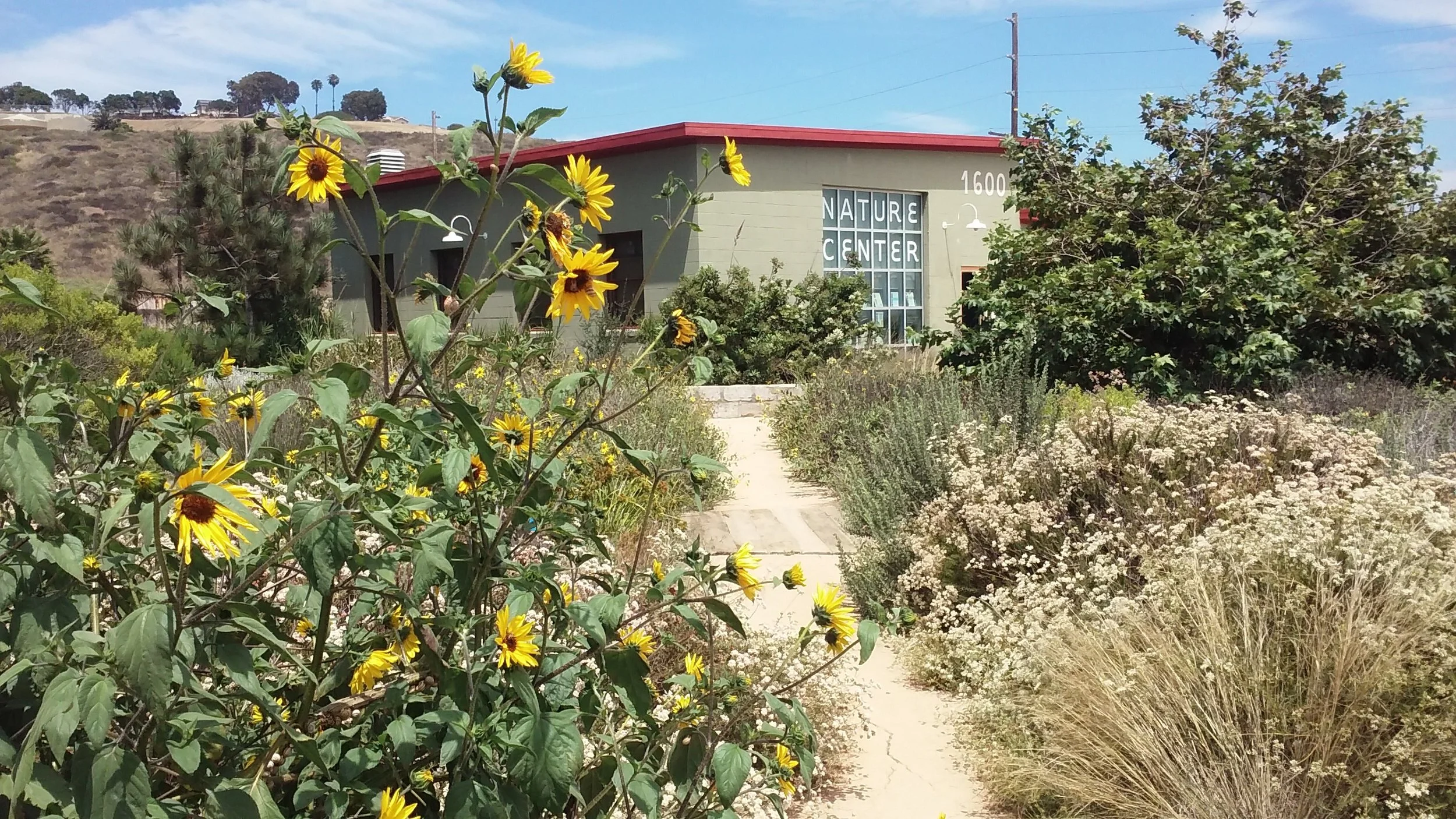 Palos Verdes Land Conservancy