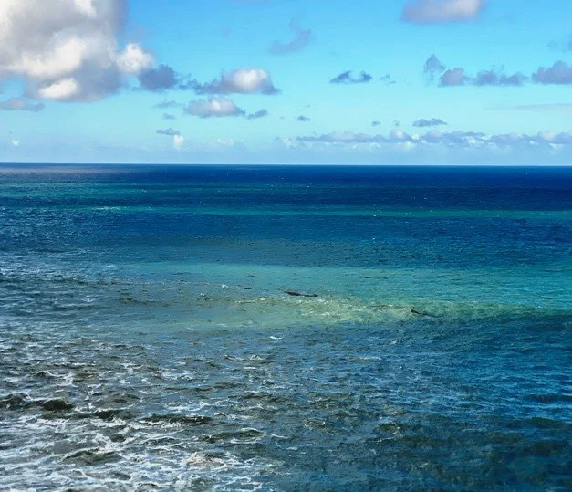 Riding the Raging Tides: Peninsula and South Bay's Untamed Waves By ...