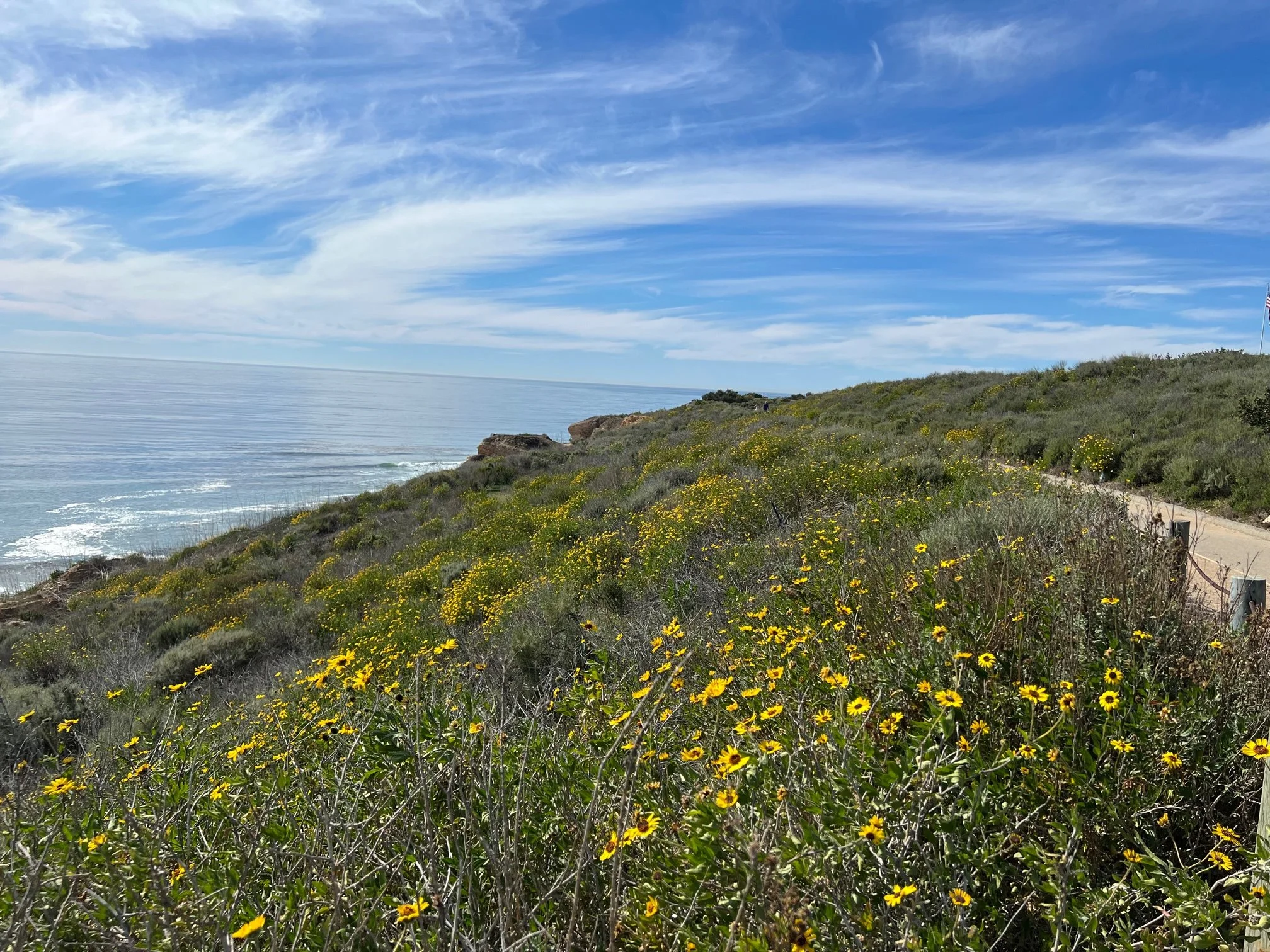 Palos Verdes Land Conservancy