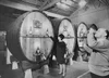 San Antonio Winery in Los Angeles, a Hidden Gem By Wine Aficionado and Founder of California ...