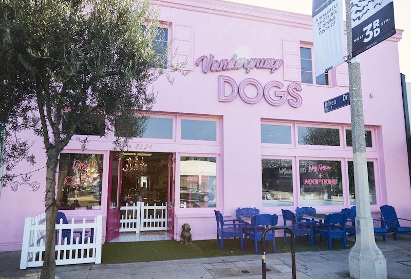 Vanderpump Dog Foundation: Bridging Continents for Canine Welfare By ...