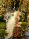The Magical World of Garden Fairies (Faeries): Interconnectedness of ...