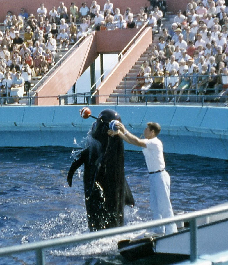 L.A.'s Own Marineland Podcast: "Part Two (II) : A Whale of a Star" By ...