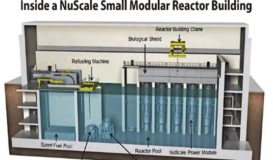 Power Up By William Lama, Ph.D — Palos Verdes Pulse