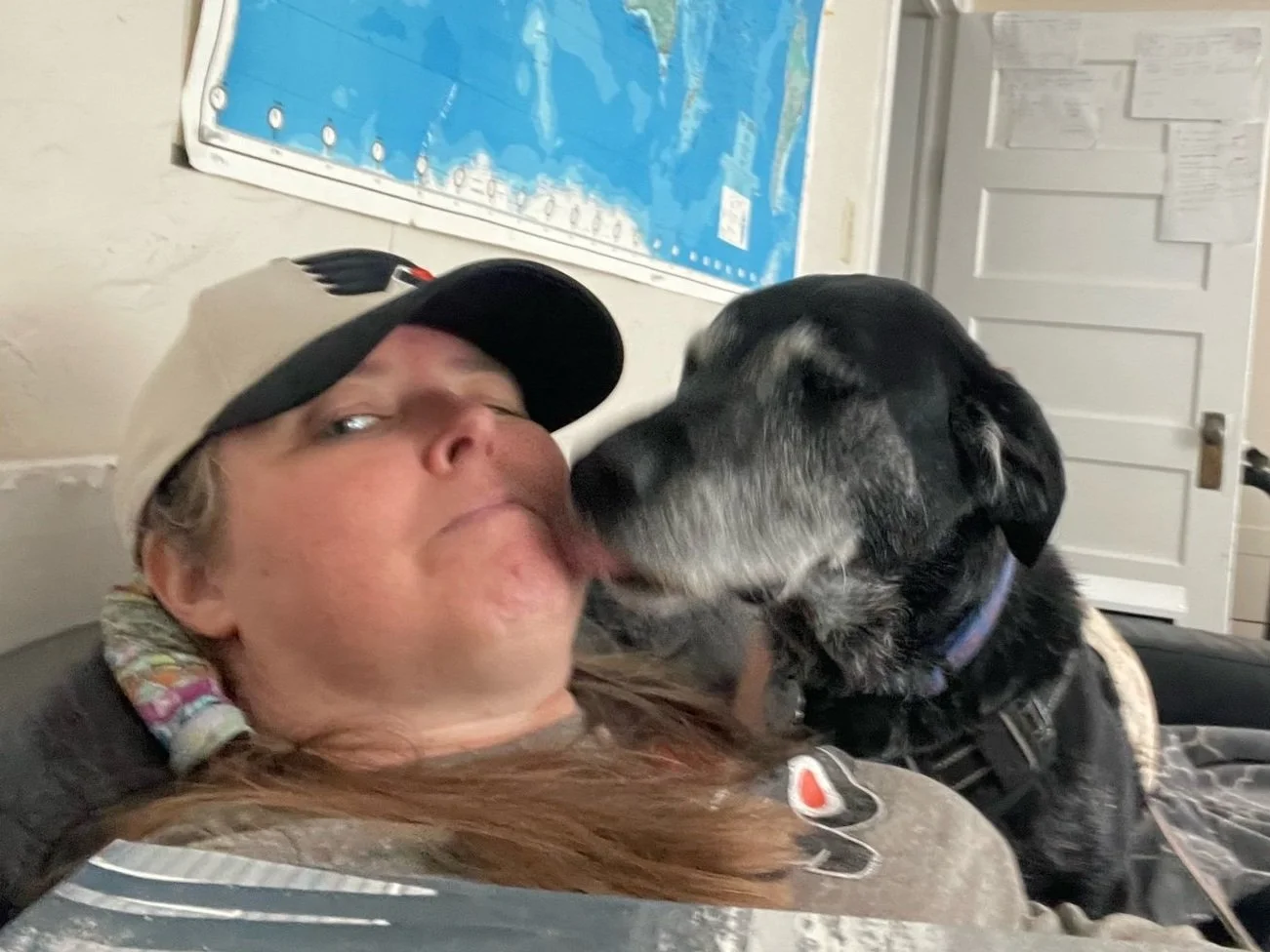 Services — Merry Pets