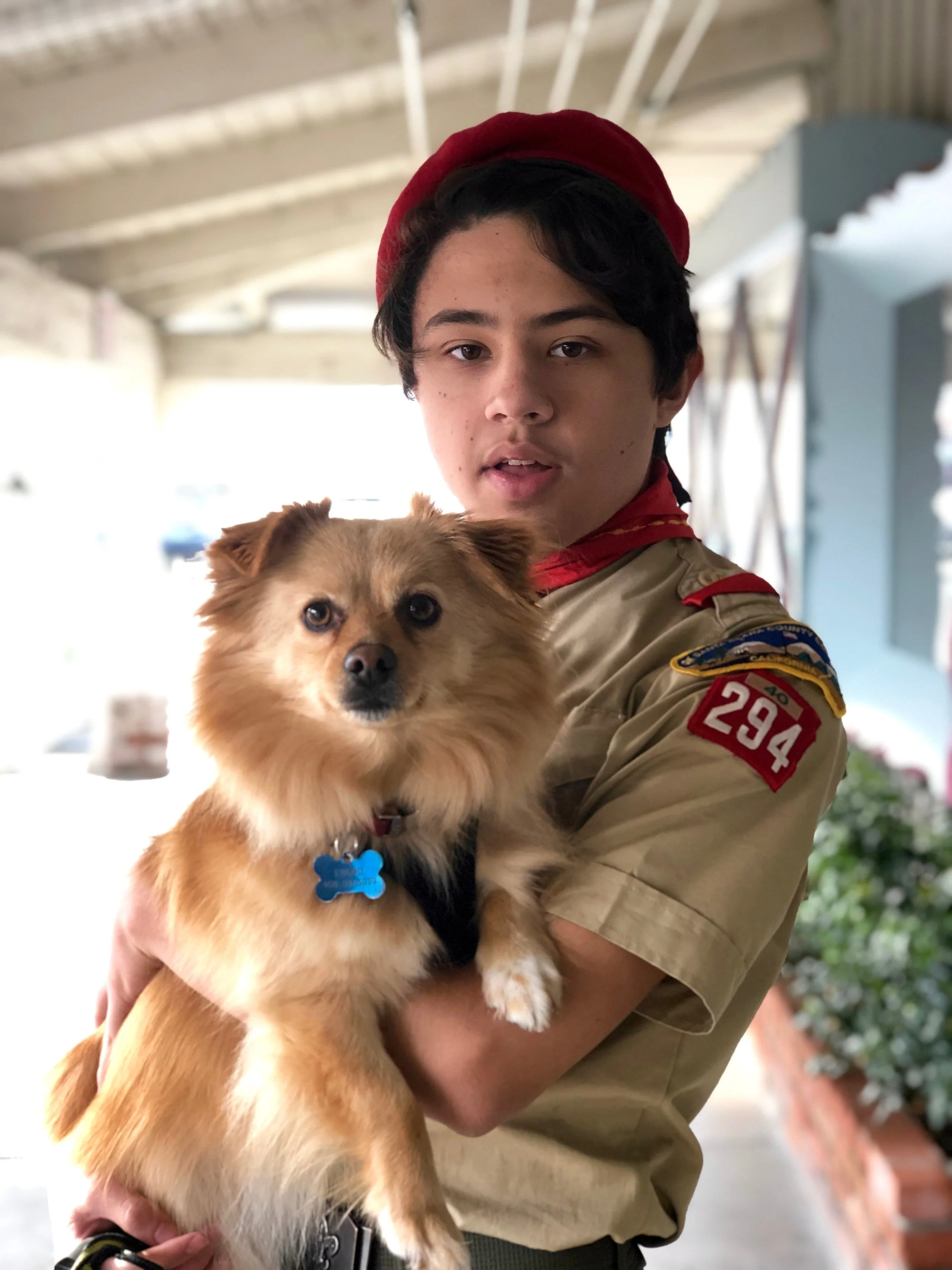 Pup Plaza, Silicon Valley’s first Dog Community Center, is Now Open to ...