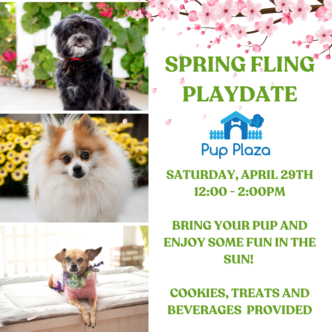 Event list — Silicon Valley Pet Project