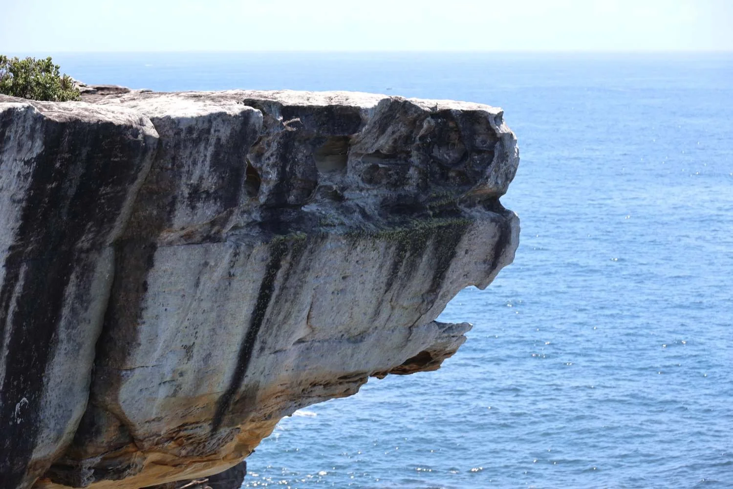 Eagle Rock walking tours Sydney - Sydney Nimble Tours