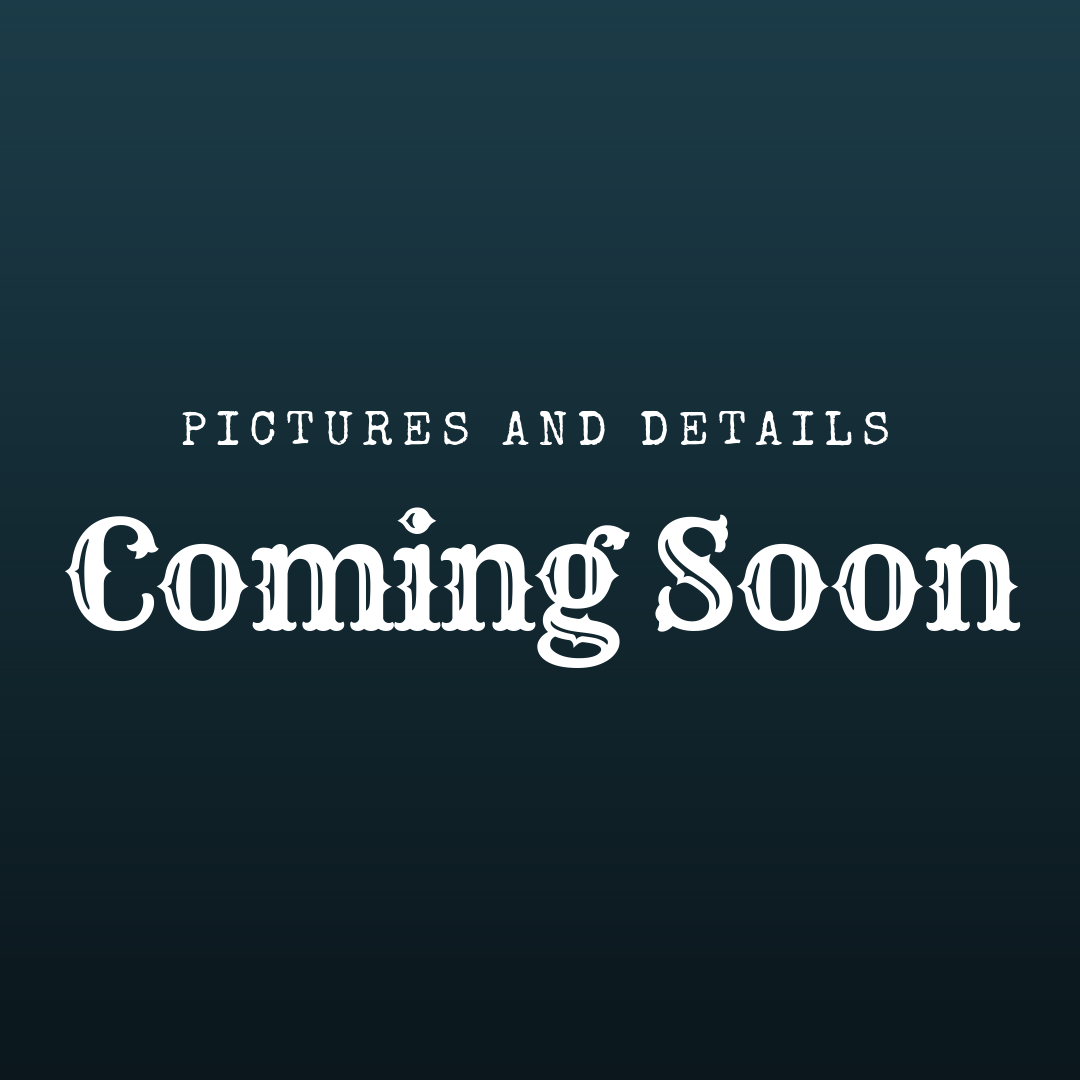 Denotter Auctions | Chicago Area Consignment and Estate Auctions