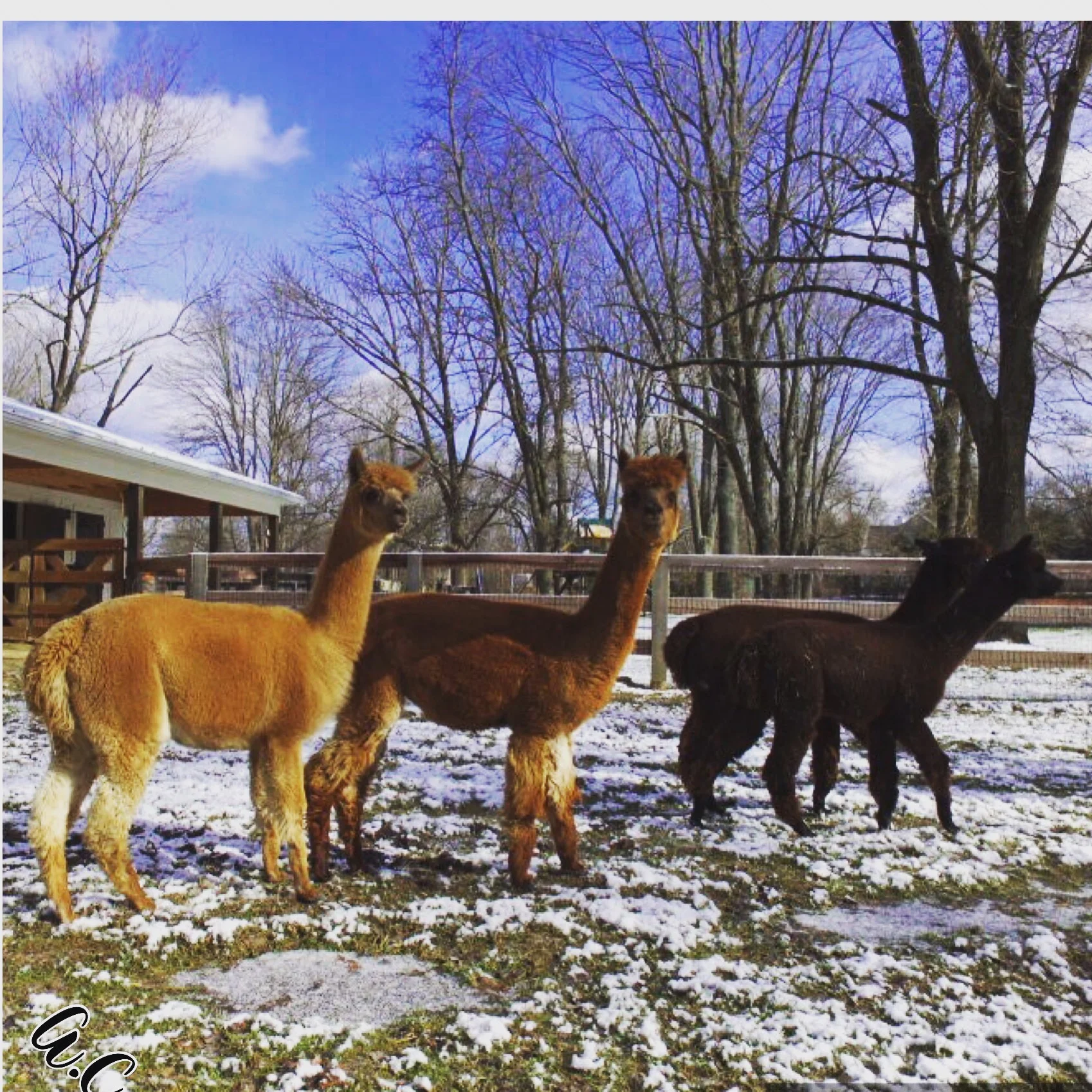 Perch Farm - Book your tour and stay