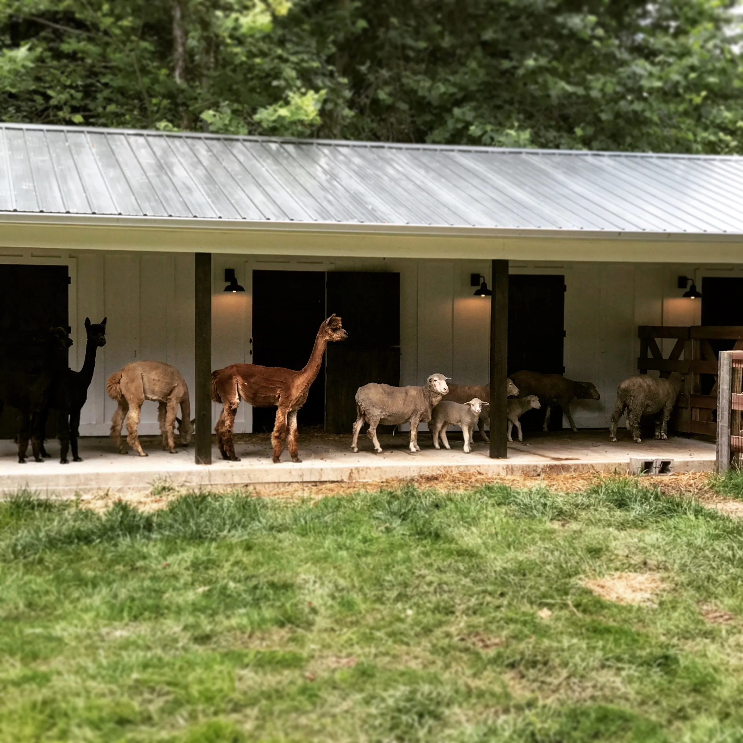 Perch Farm - Book your tour and stay