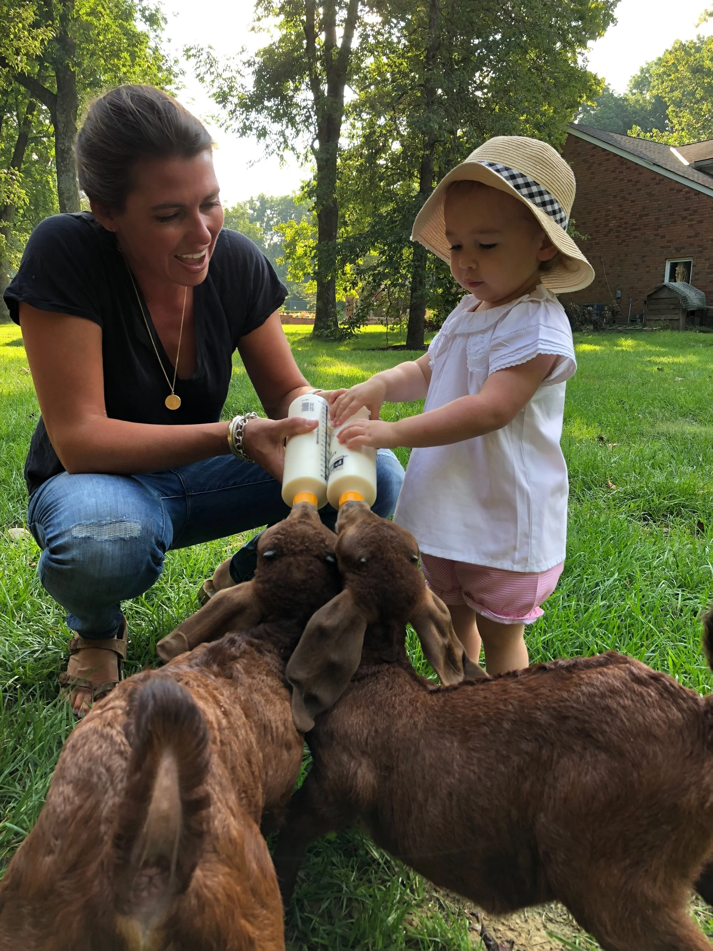 Gallery — perch farm