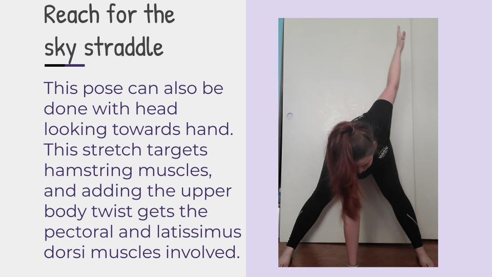 5 Stretching Poses and the Muscles They Target — MAGIC Dance Arts, Inc.