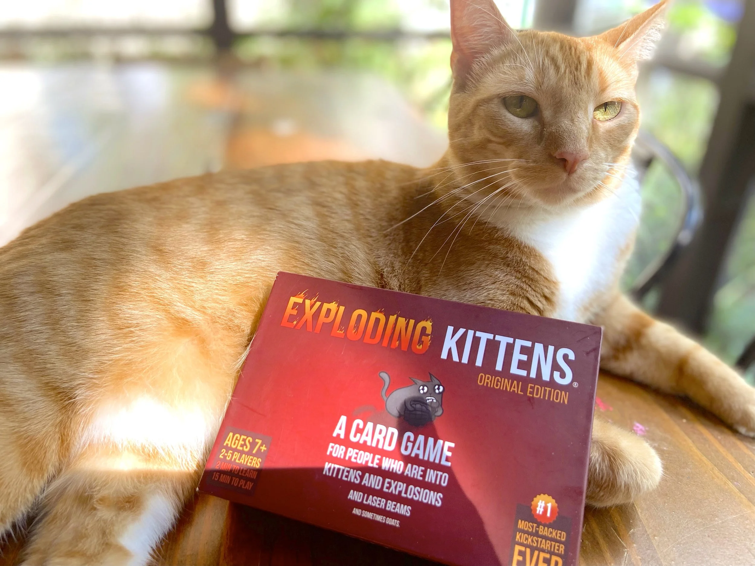 Exploding Kittens Still a Fun Pastime Years Later | Dad Suggests