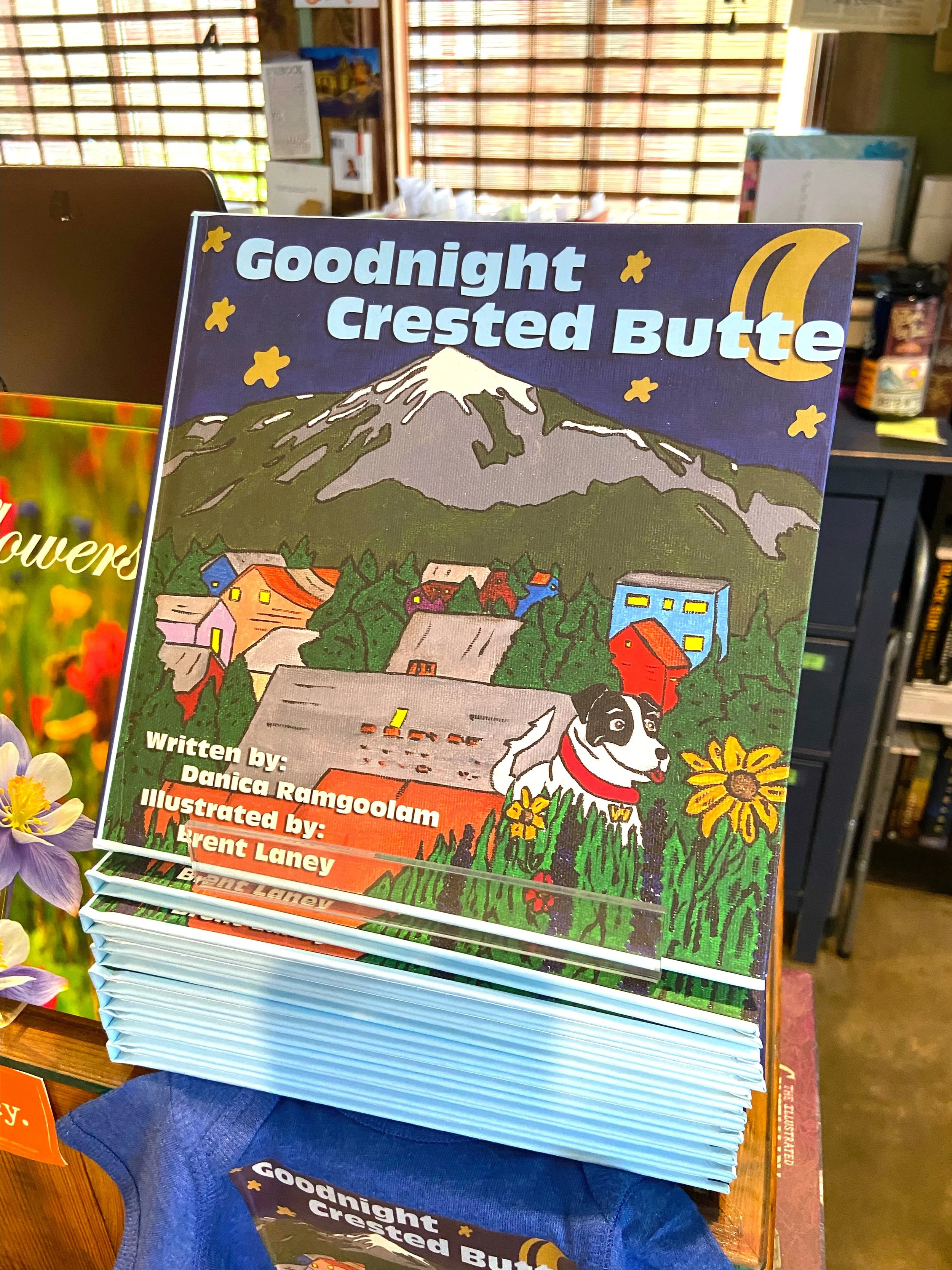 Bookstore Spotlight: Townie Books in Crested Butte, CO | Dad Suggests