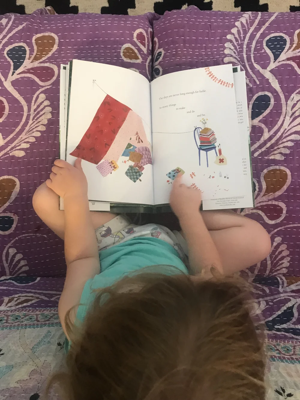 This is Sadie by Sara O'Leary | Dad Suggests