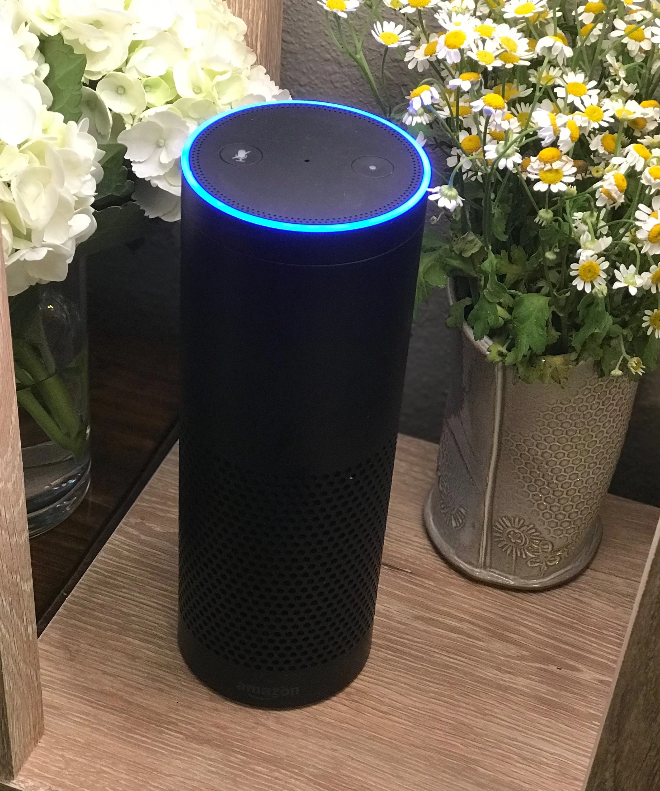 The Best Skills for Kids and Families on Amazon Echo | Dad Suggests