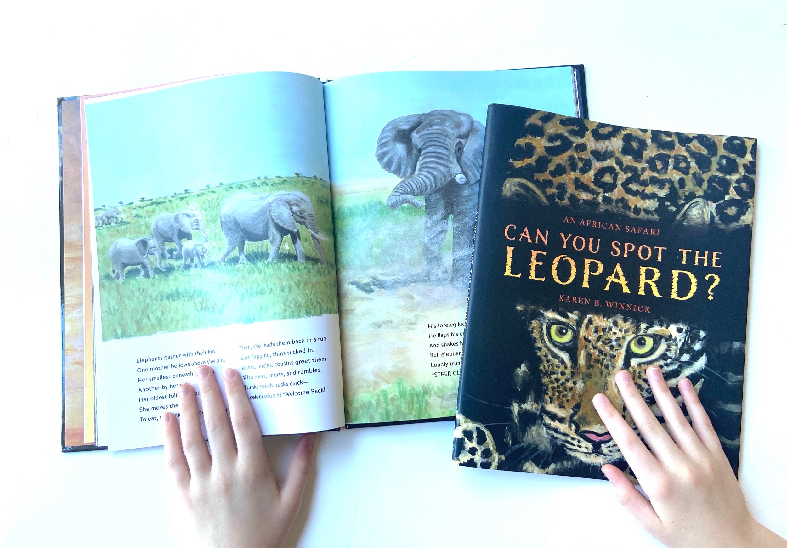 Can You Spot the Leopard?: An African Safari Picture Book | Dad Suggests Can You Spot the Leopard?: An African Safari Picture Book | Dad Suggests