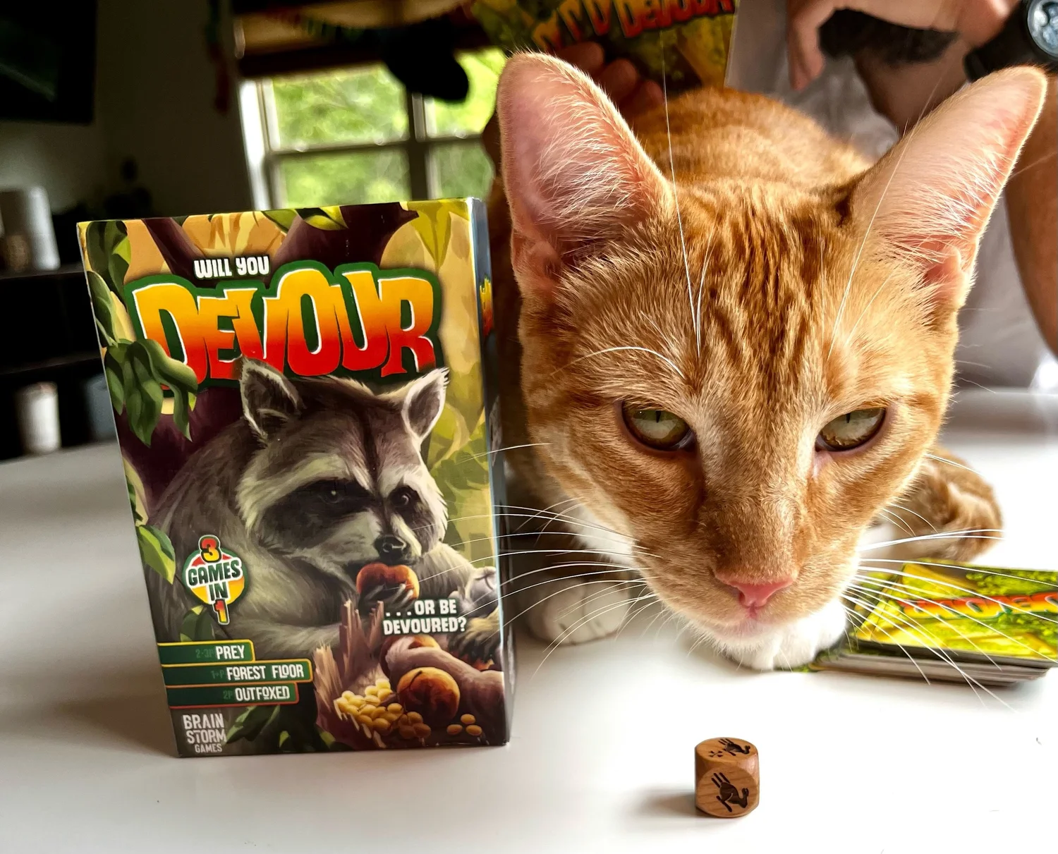 DEVOUR: The Card Game of Eat or Be Eaten | Dad Suggests