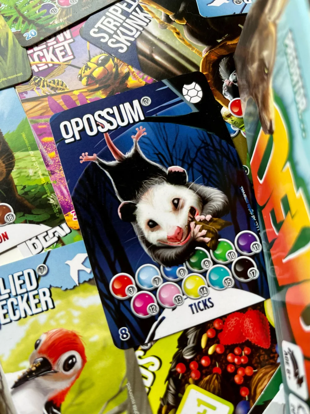 DEVOUR: The Card Game of Eat or Be Eaten | Dad Suggests