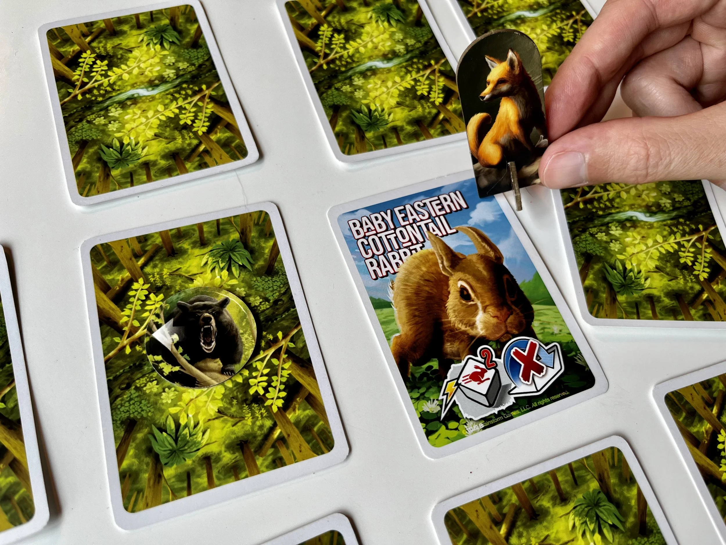 DEVOUR: The Card Game of Eat or Be Eaten | Dad Suggests