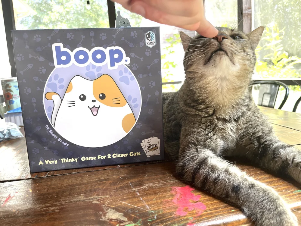 Cat Lovers Can't Get Enough of Boop | Dad Suggests