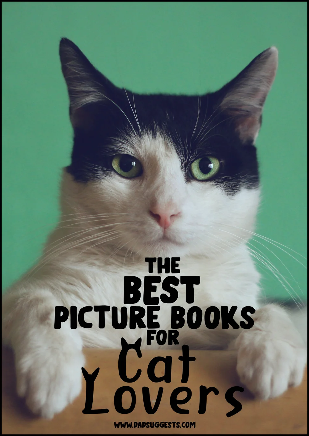 The Best Picture Books for Cat Lovers | Dad Suggests