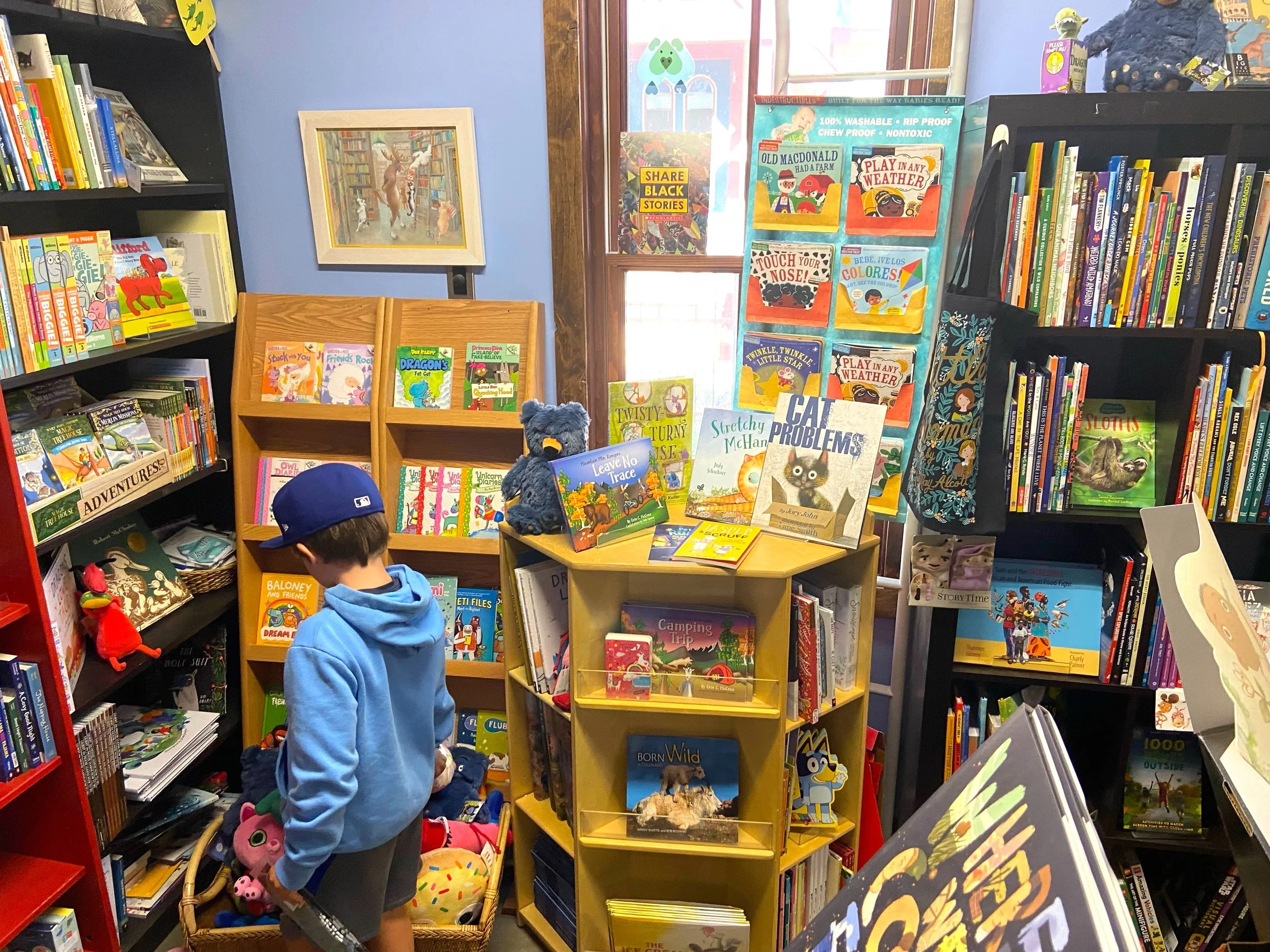 Bookstore Spotlight: Townie Books in Crested Butte, CO | Dad Suggests