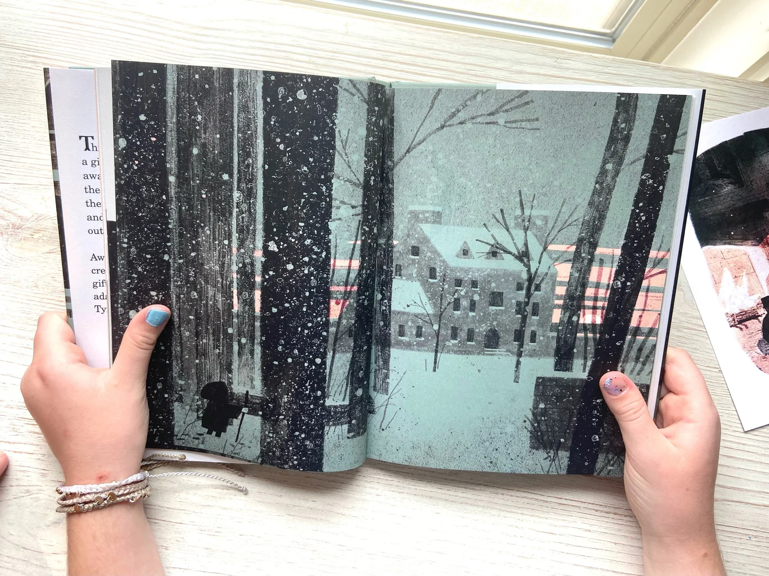 The Skull Might Be the Children's Book Highlight of 2023 | Dad Suggests