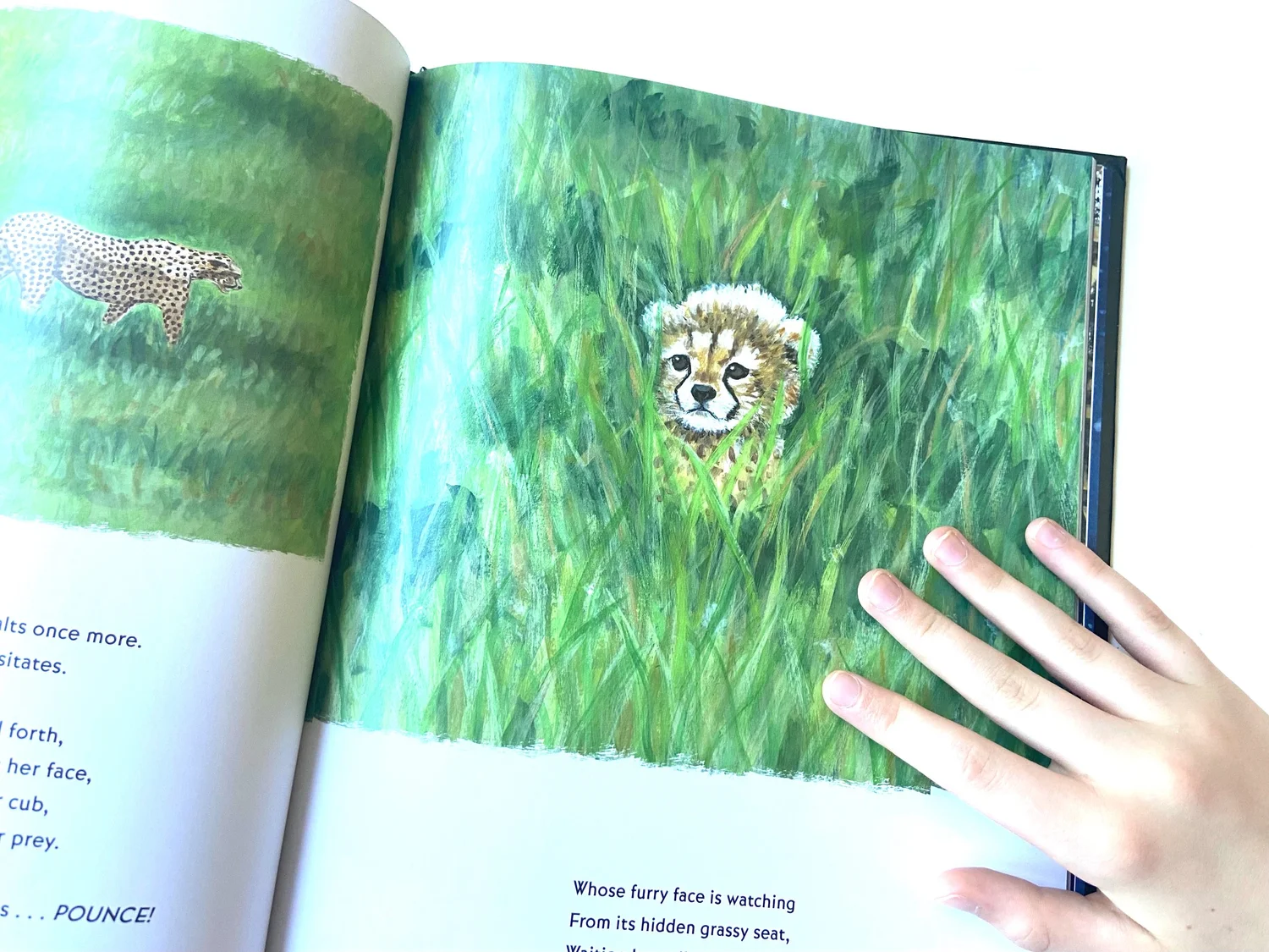 Can You Spot the Leopard?: An African Safari Picture Book | Dad Suggests