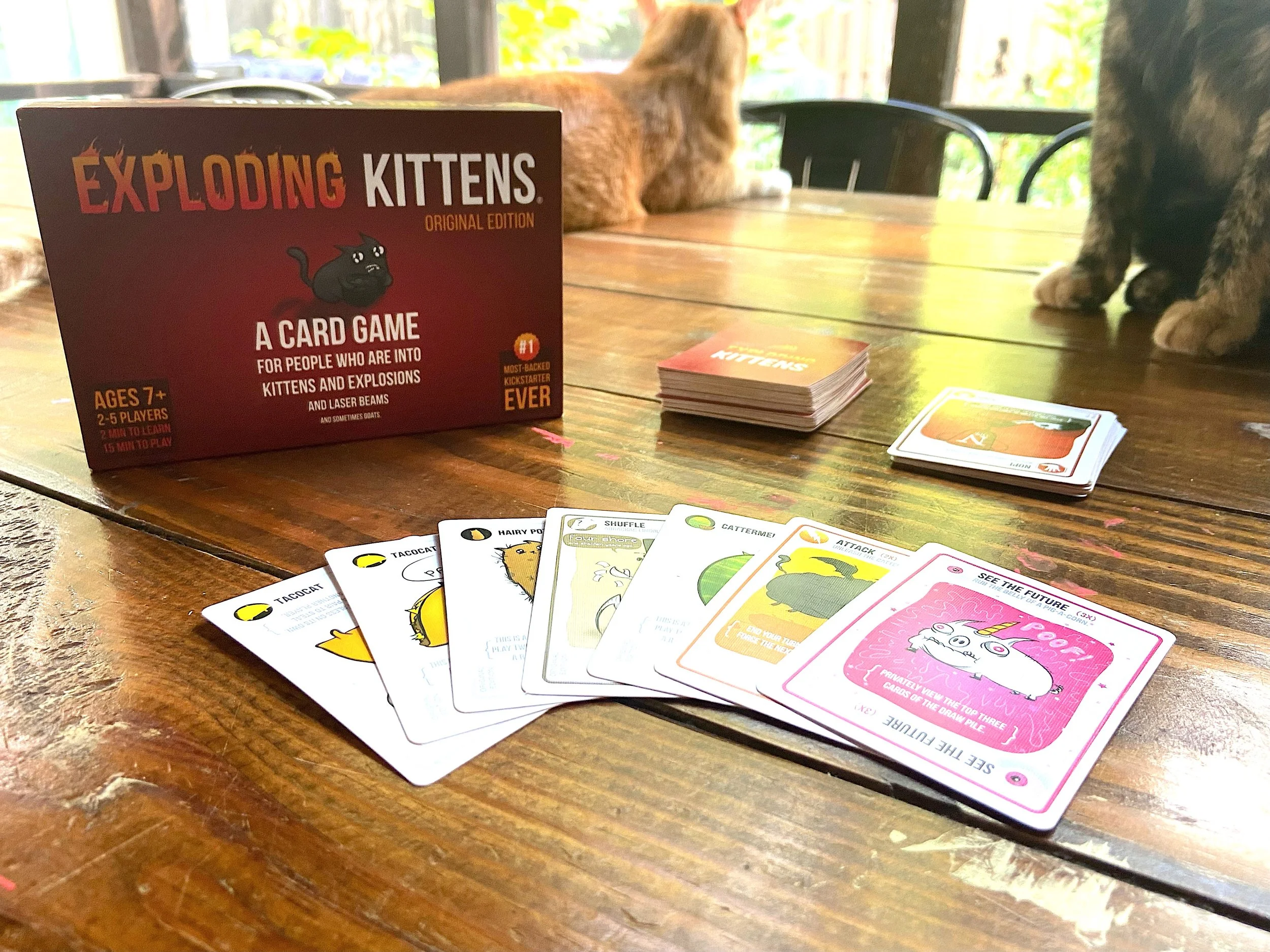 Exploding Kittens Still a Fun Pastime Years Later | Dad Suggests